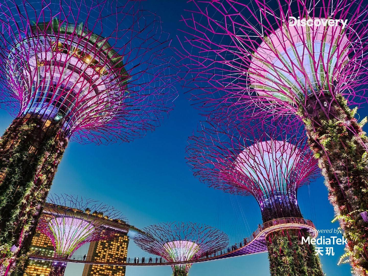 方寸间轻松捕捉光影美好，联发科与Discovery携手诠释移动影像体验 - 资讯 — C114通信网