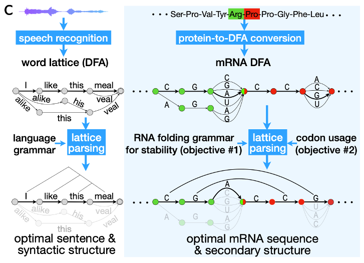 11分钟解决“世界性”难题 百度生物计算研究成果登顶《Nature》正刊 - Cloud&AI — C114通信网
