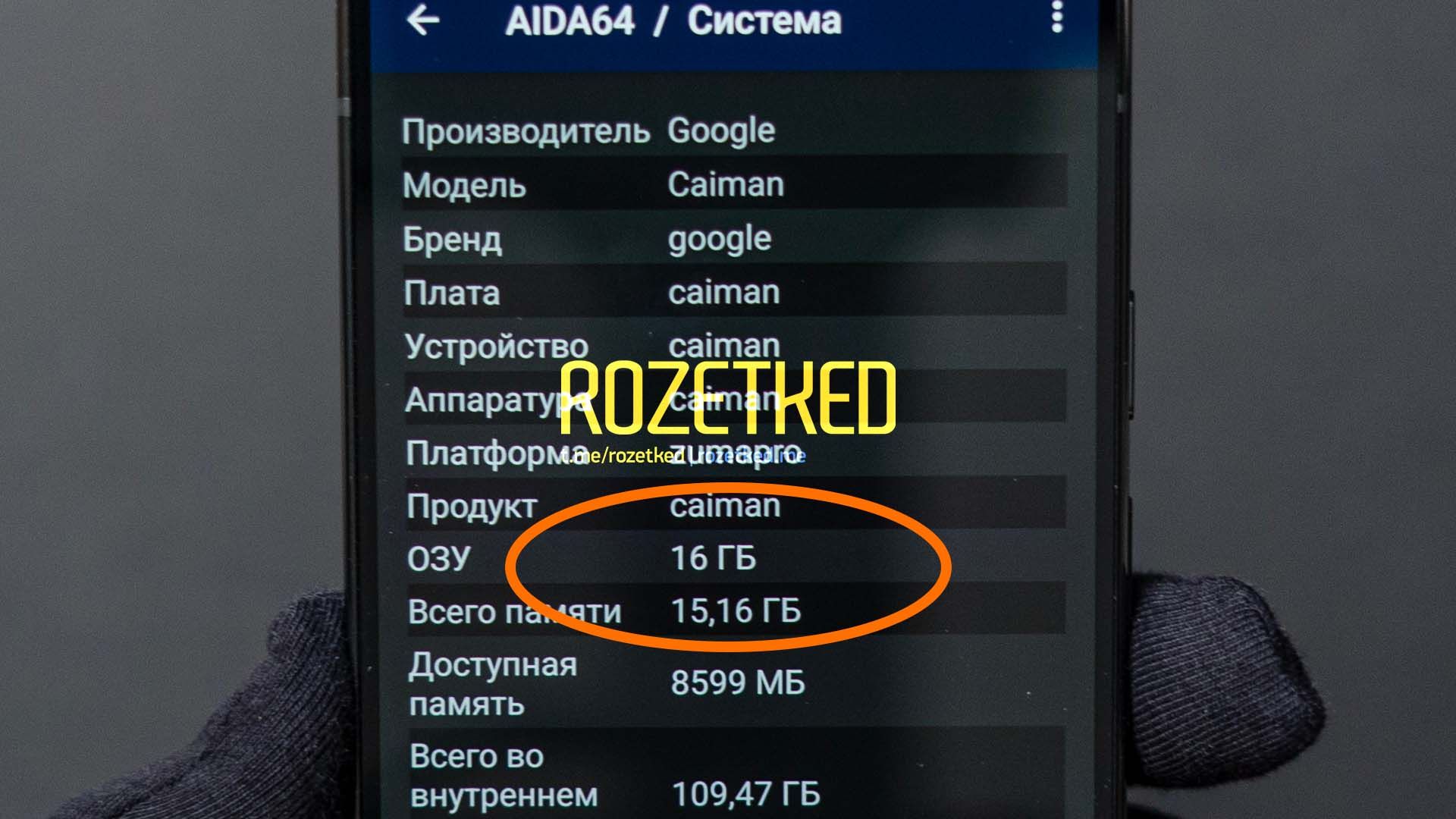 谷歌Pixel9系列三款机型真机照再曝光：搭载Tensor G4 SoC，12/16GB 内存 - 通信终端 — C114通信网
